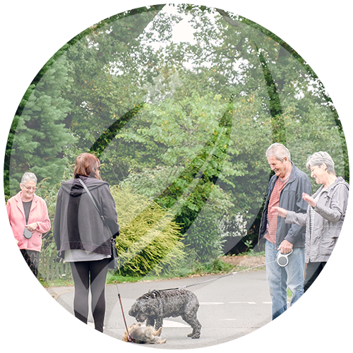 Warfield Park | Buying Information