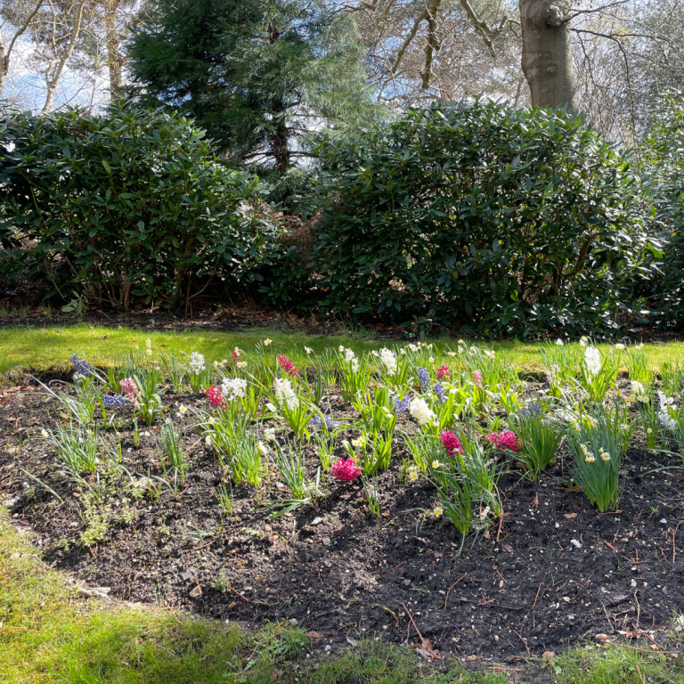 Spring has arrived at Warfield Park - Warfield Park : Warfield Park ...