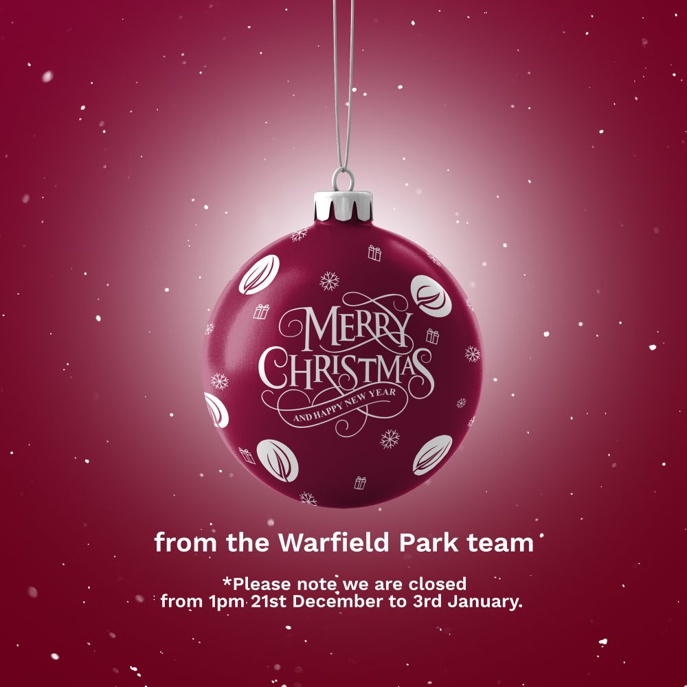 Merry Christmas and Happy New Year - Office closed over Christmas break ...